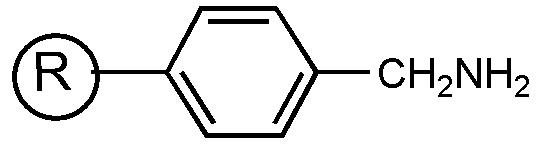 Advanced ChemTech - Aminomethyl Resin HS, 100-200 mesh, 1% DVB