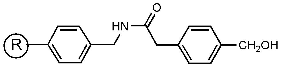 Advanced ChemTech - PAM Resin SS, 100-200 mesh, 1% DVB