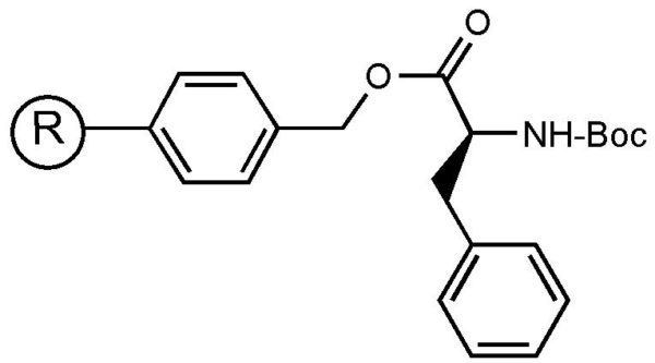Advanced ChemTech - Boc-Phe-Merrifield Resin