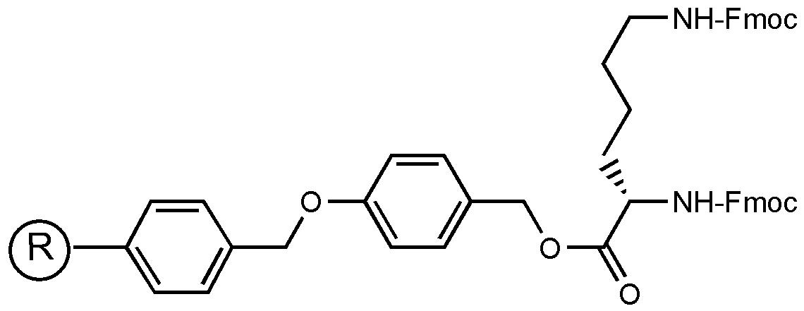 Advanced ChemTech - Fmoc-Lys(Fmoc) Wang resin