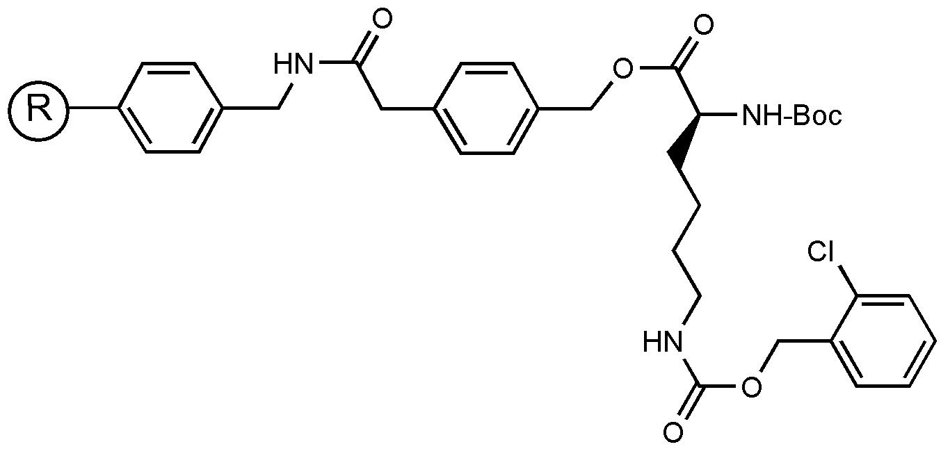 Advanced ChemTech - Boc-Lys(2-Cl-Z)-PAM Resin