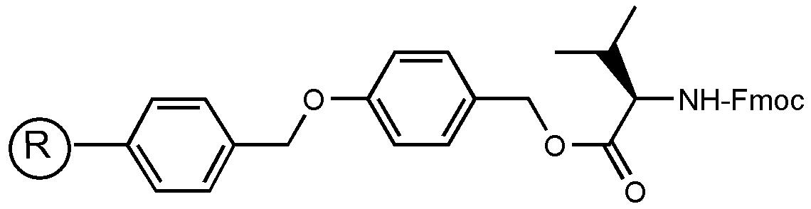 Advanced ChemTech - Fmoc-Val Wang Resin (75-100 mesh)