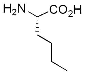 Norleucine Archives - Advanced ChemTech