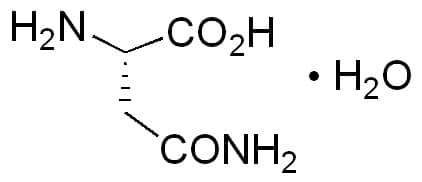 Advanced ChemTech - H-Asn-OH∙H2O